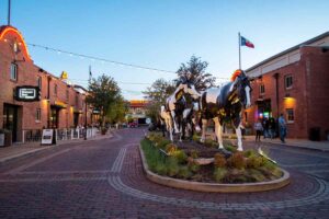 Best Vacation Rentals in Fort Worth - Stock yards Rentals